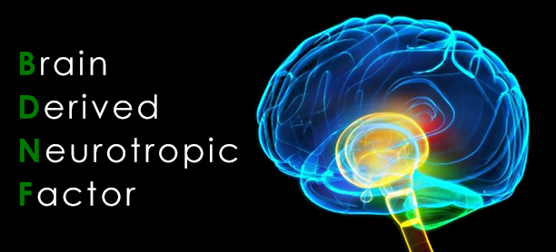 My Addiction Physician | Brain Derived Neurotrophic Factor (BDNF)